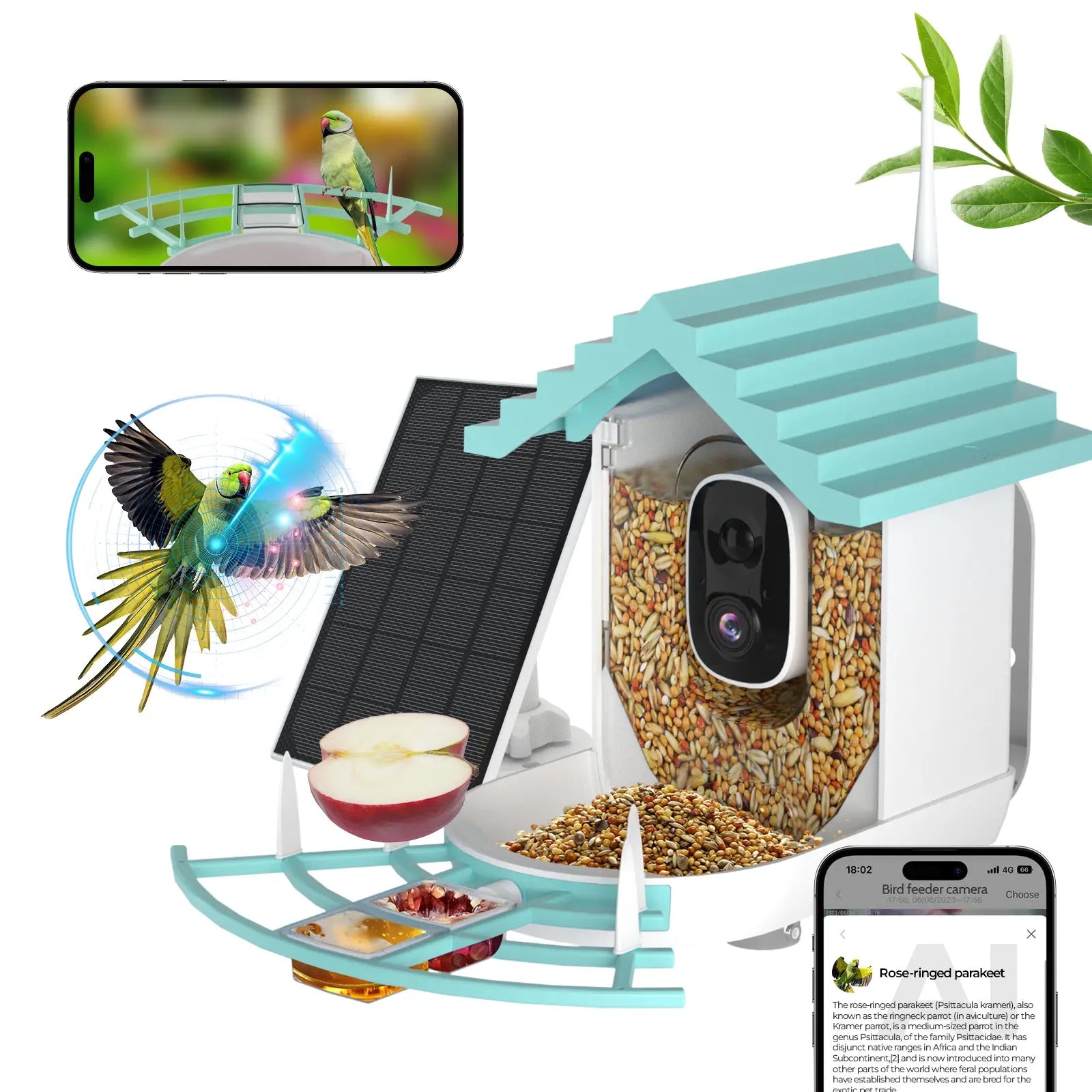 Smart Bird Feeder with Camera – Geonfino Smart Locks